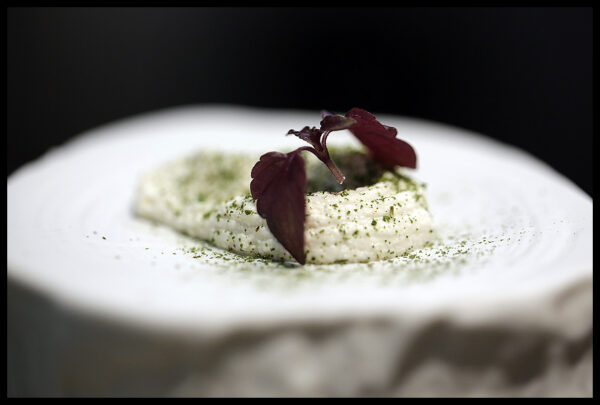 Restaurant Louis – Stéphane Pitré